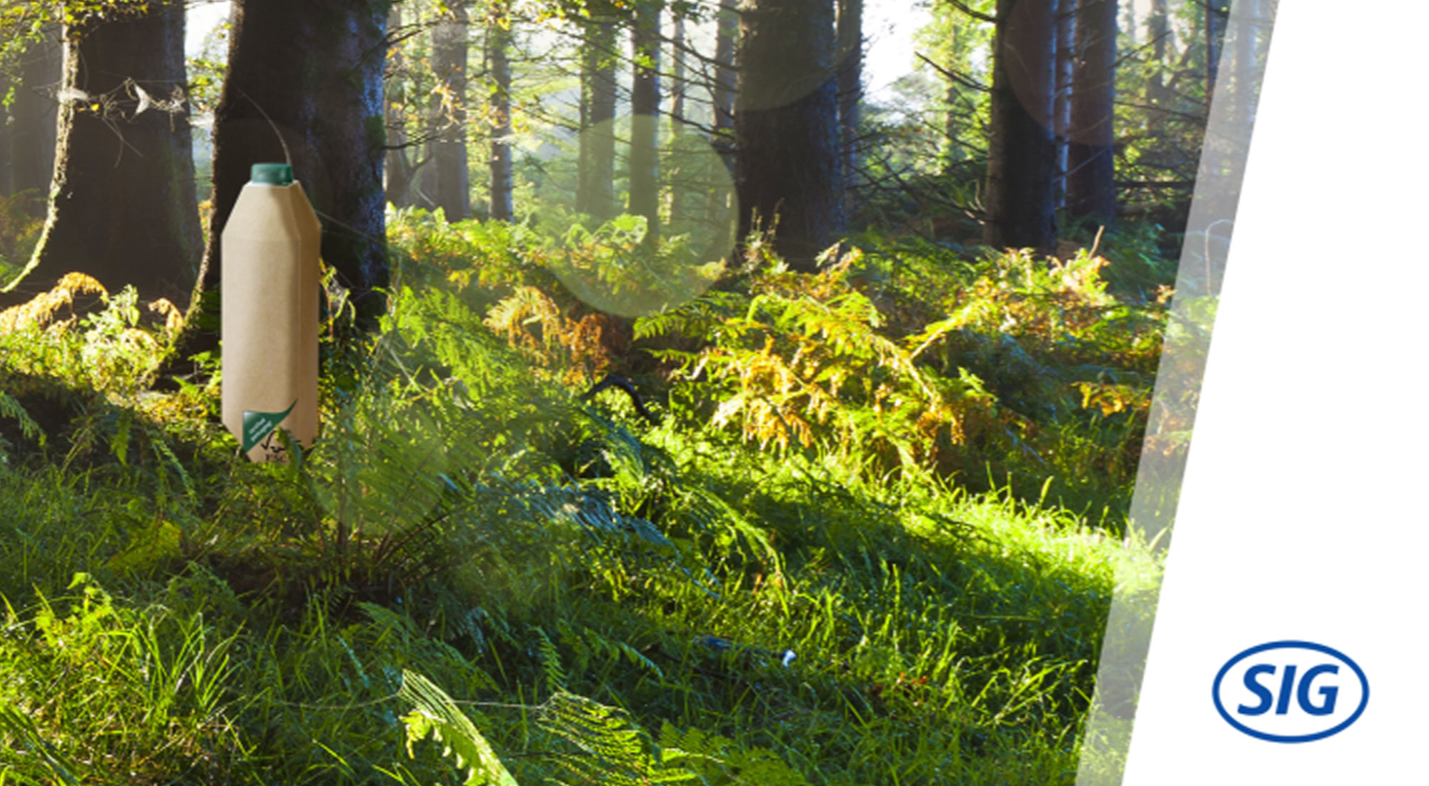 SIG Group AG | SIG Areal
